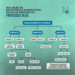 ULTRASSOM PULMONAR PARA AVALIAÇÃO DE DISPNEIA: PROTOCOLO BLUE - sjpocus ...